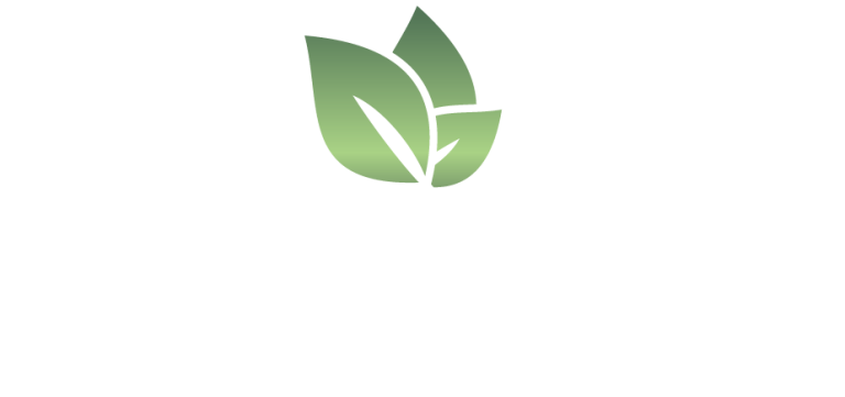 Real Estate Market in Mexico for 2026 - Green Realty Mexico